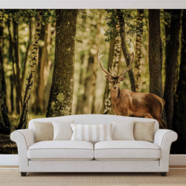 Fotobehang Edelhert in Bos | Wallart by Behangexpert serie 1 | Behang ...