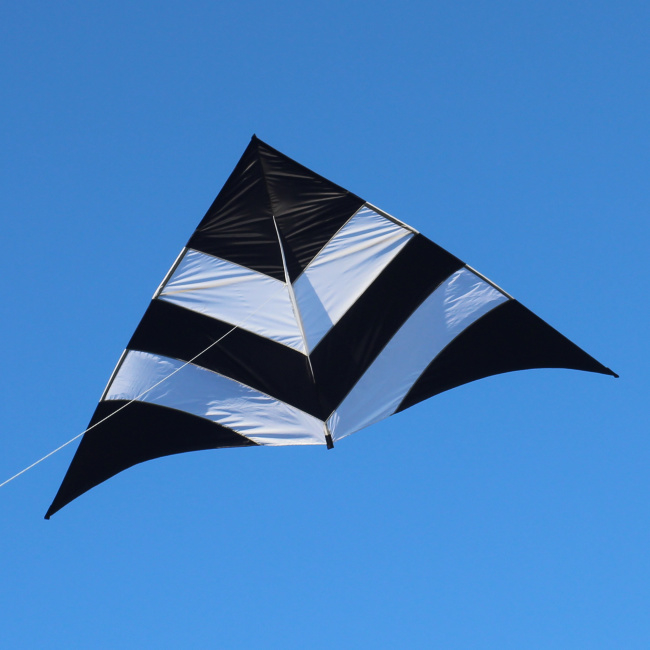 Delta kite | Dutch Flying Objects