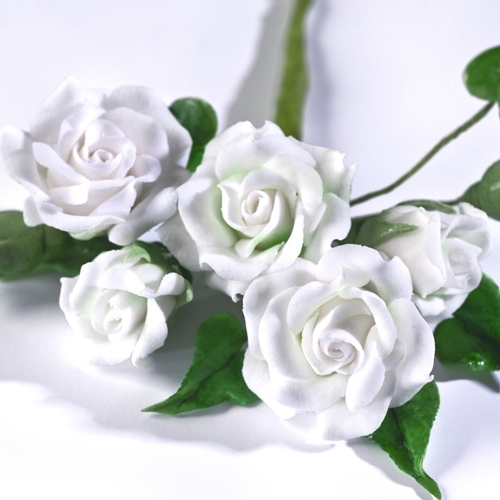 Flower & Modelling Paste | TWINKELCAKE Flower & Modelling Paste | TWINKELCAKE